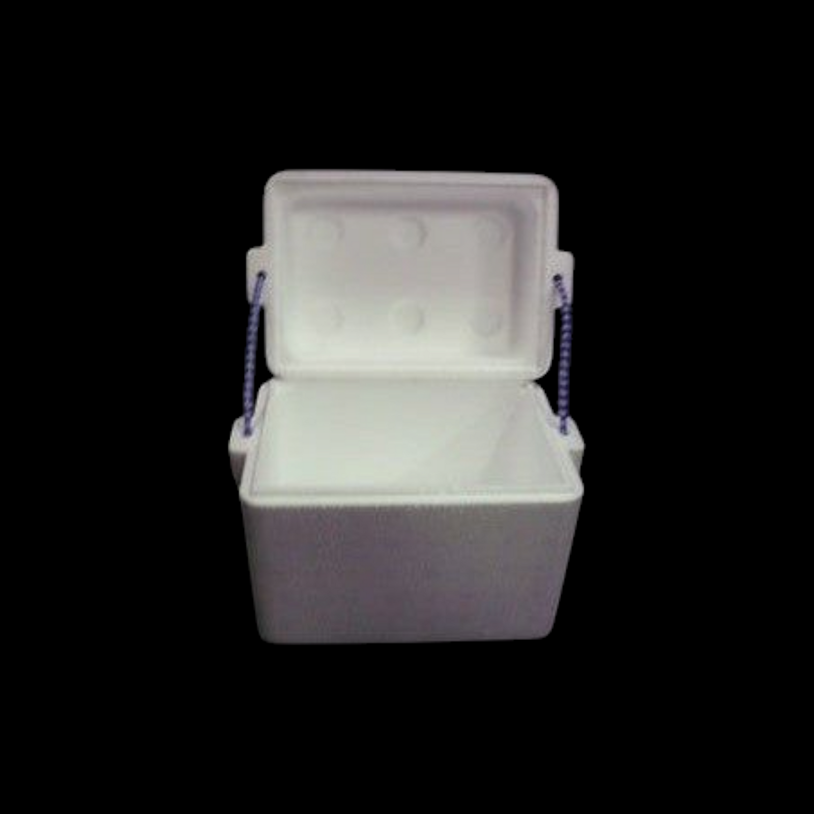 Polystyrene 6L Cooler Box Deep with Rope Thermal Storage Box - Fits 6p