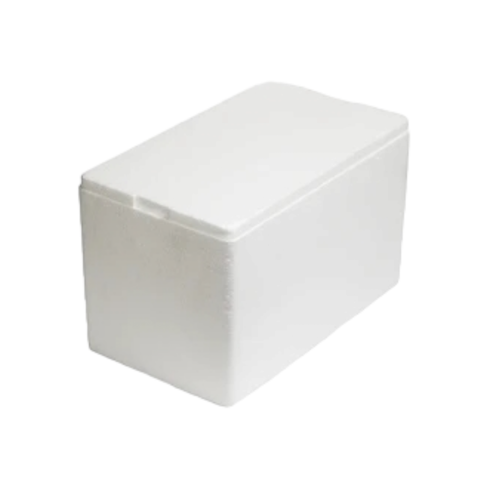 Polystyrene Cooler Box 15L Thermal Storage Box