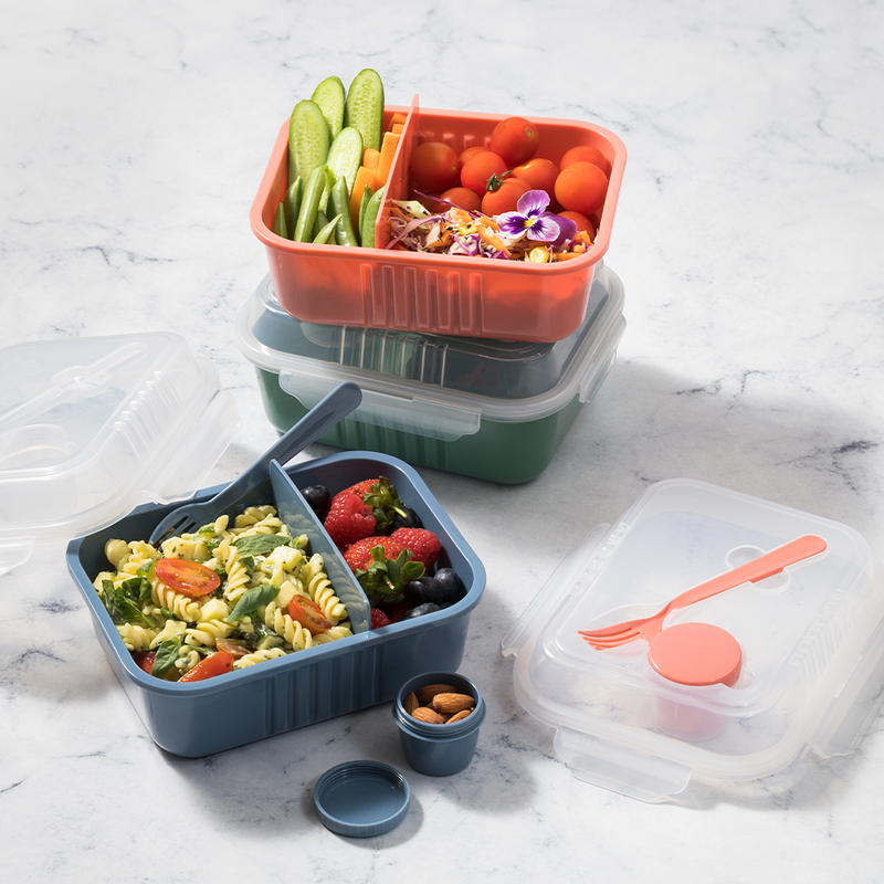 1.7L Rectangular Snappy Lunchbox Coral SN-1700C