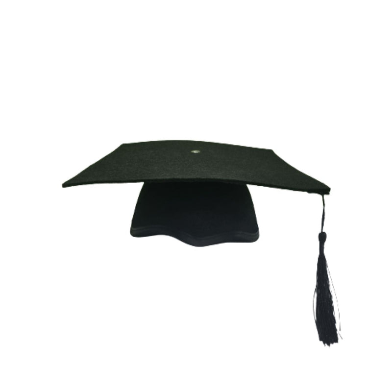 Adult Graduation Felt Hat with Tassel