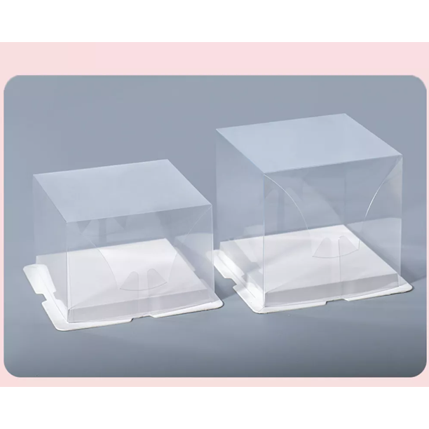 Plastic See Through Heightened Square Cake Gift Assorted