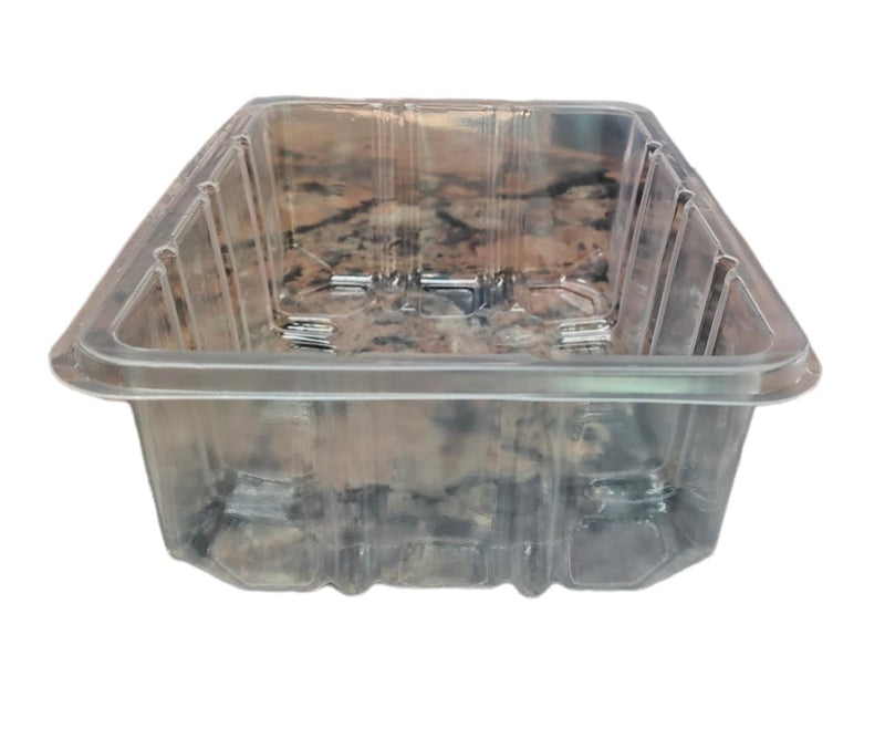 Zibo Disposable Food Container FT70 T556 No Lid 10pack
