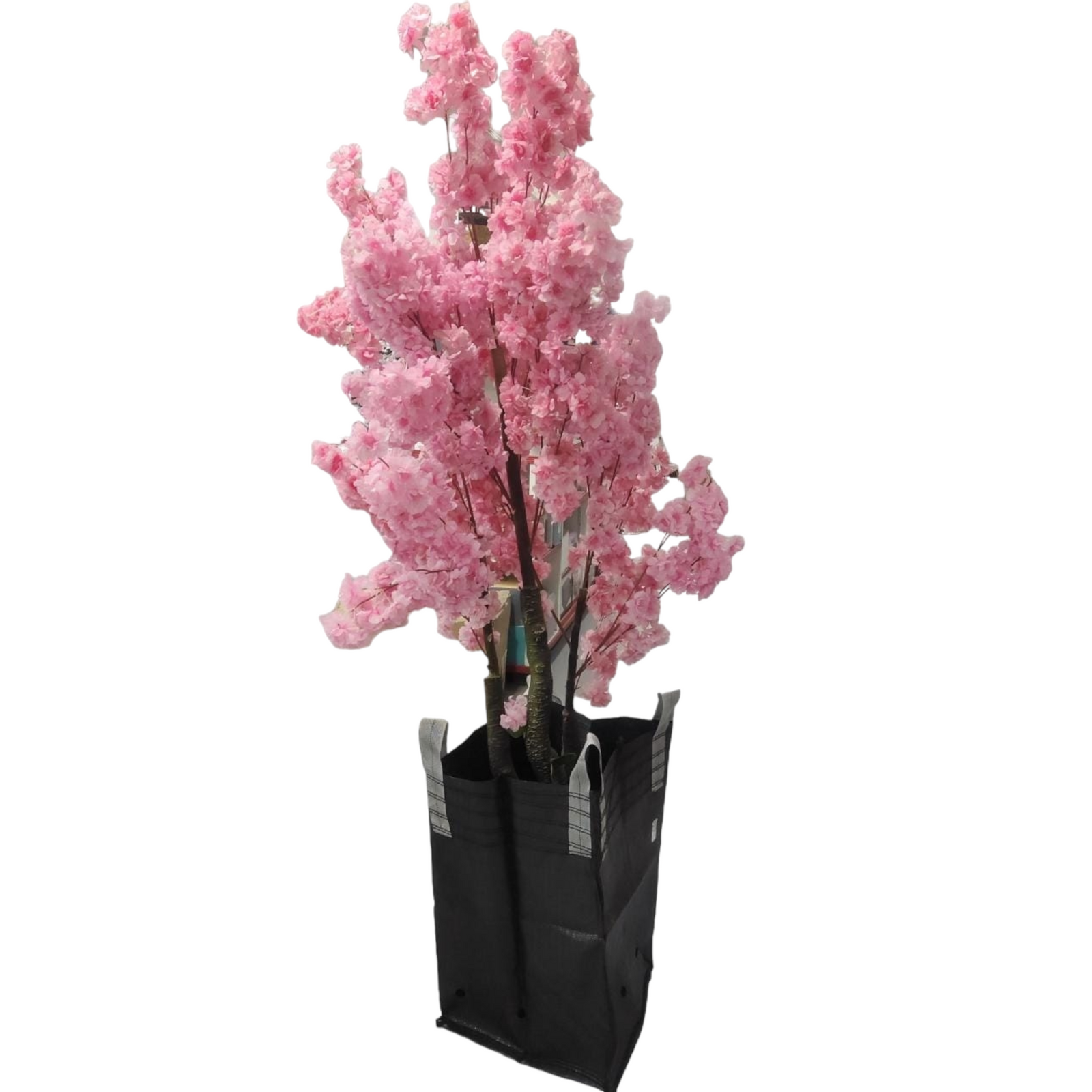 Polywoven Tree Grow Bag 200L 56x56x65cm