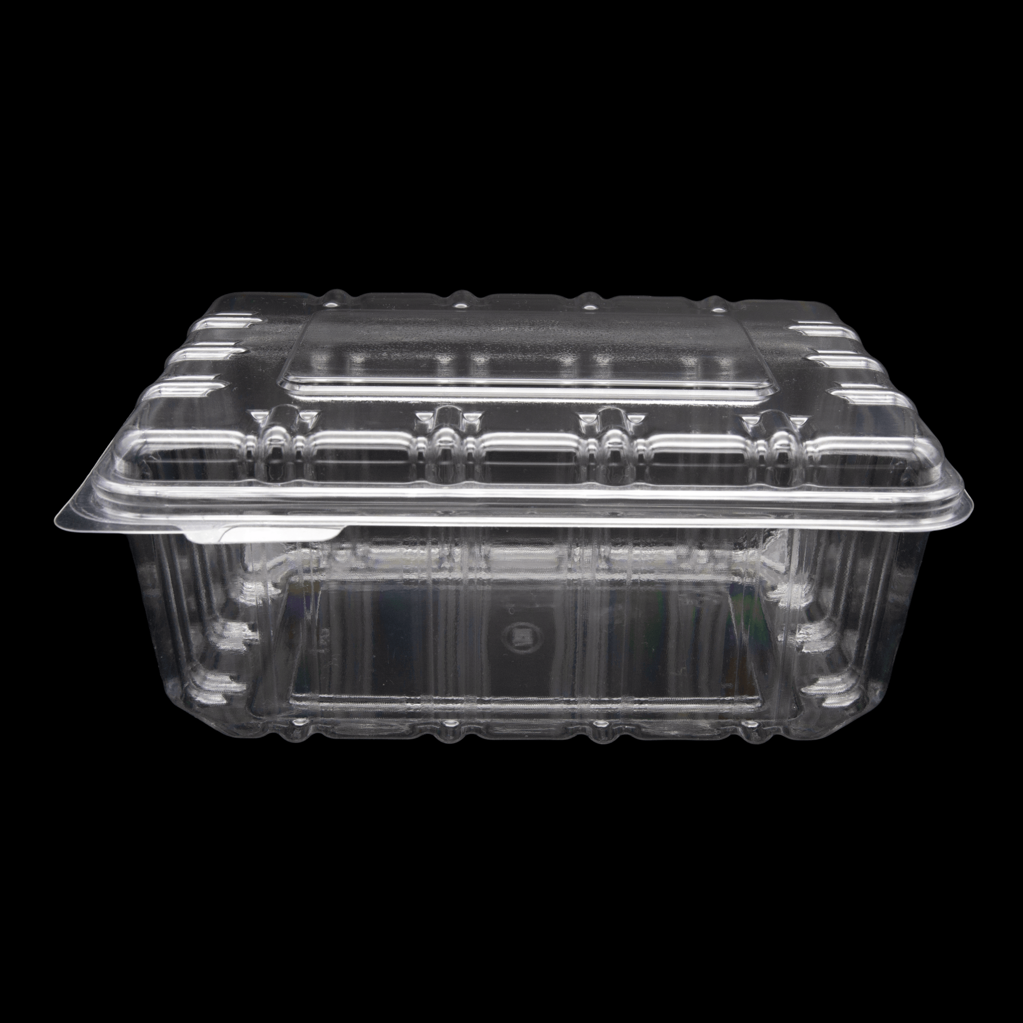 Zibo Disposable Deli-Fruit Salad-Fast Food Container FT70 T556 with L3