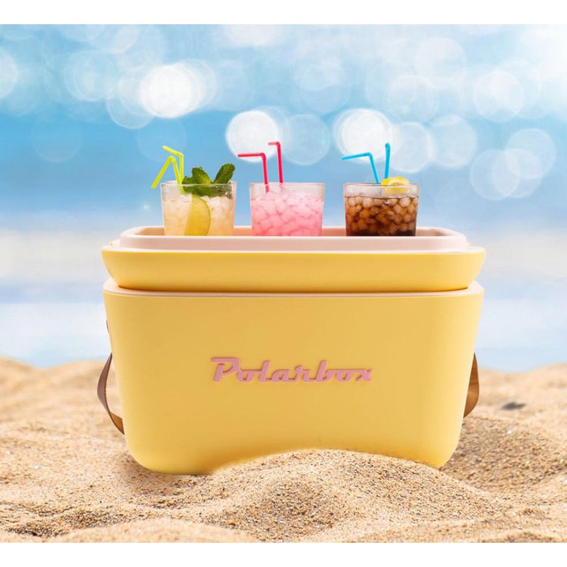 Polarbox 20L Retro Cooler Storage Container