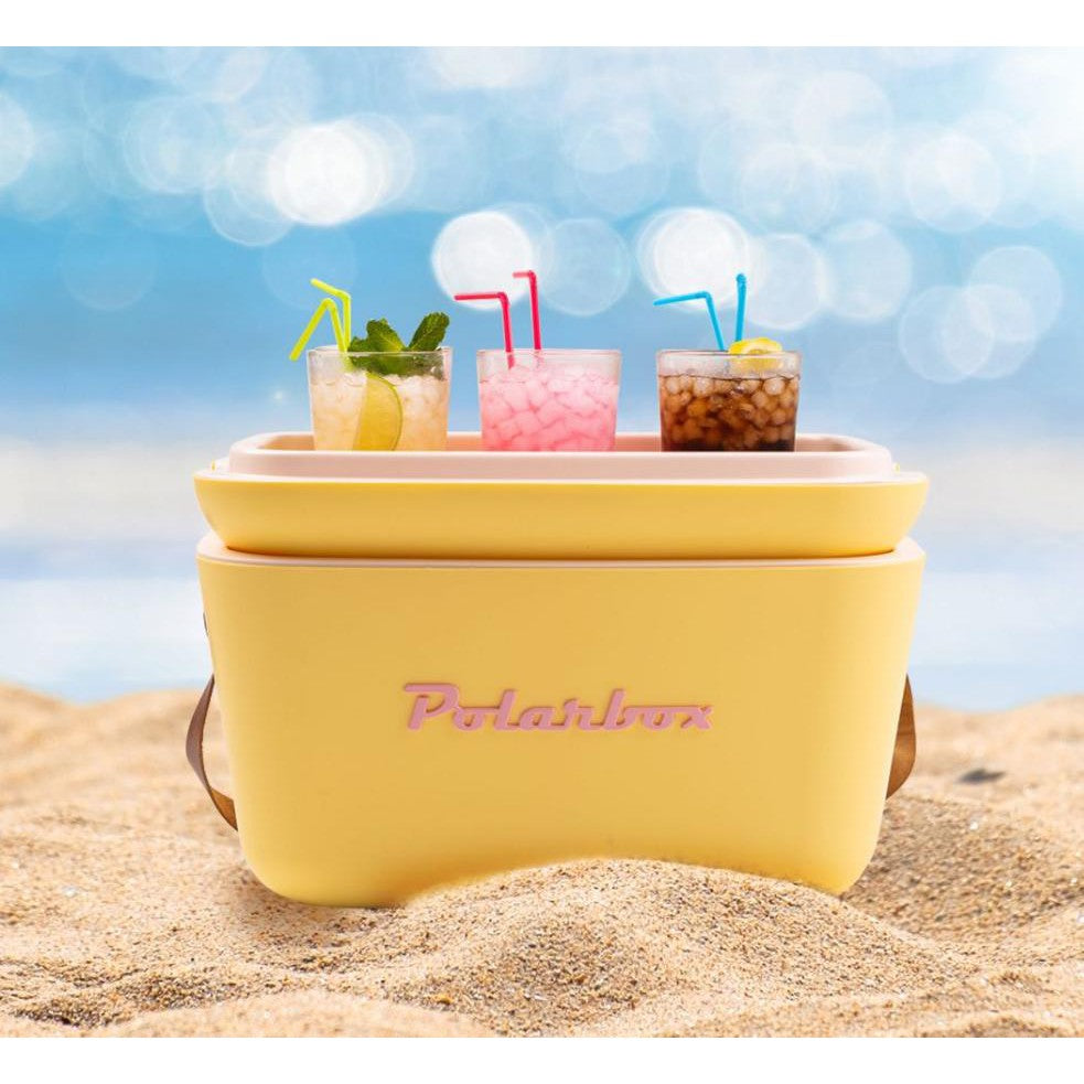 Polarbox 20L Retro Cooler Storage Container