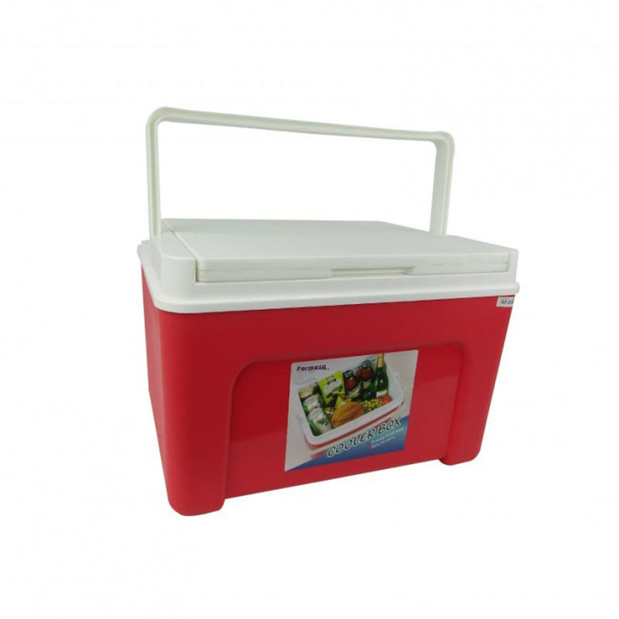 Plastic Cooler Box 26L